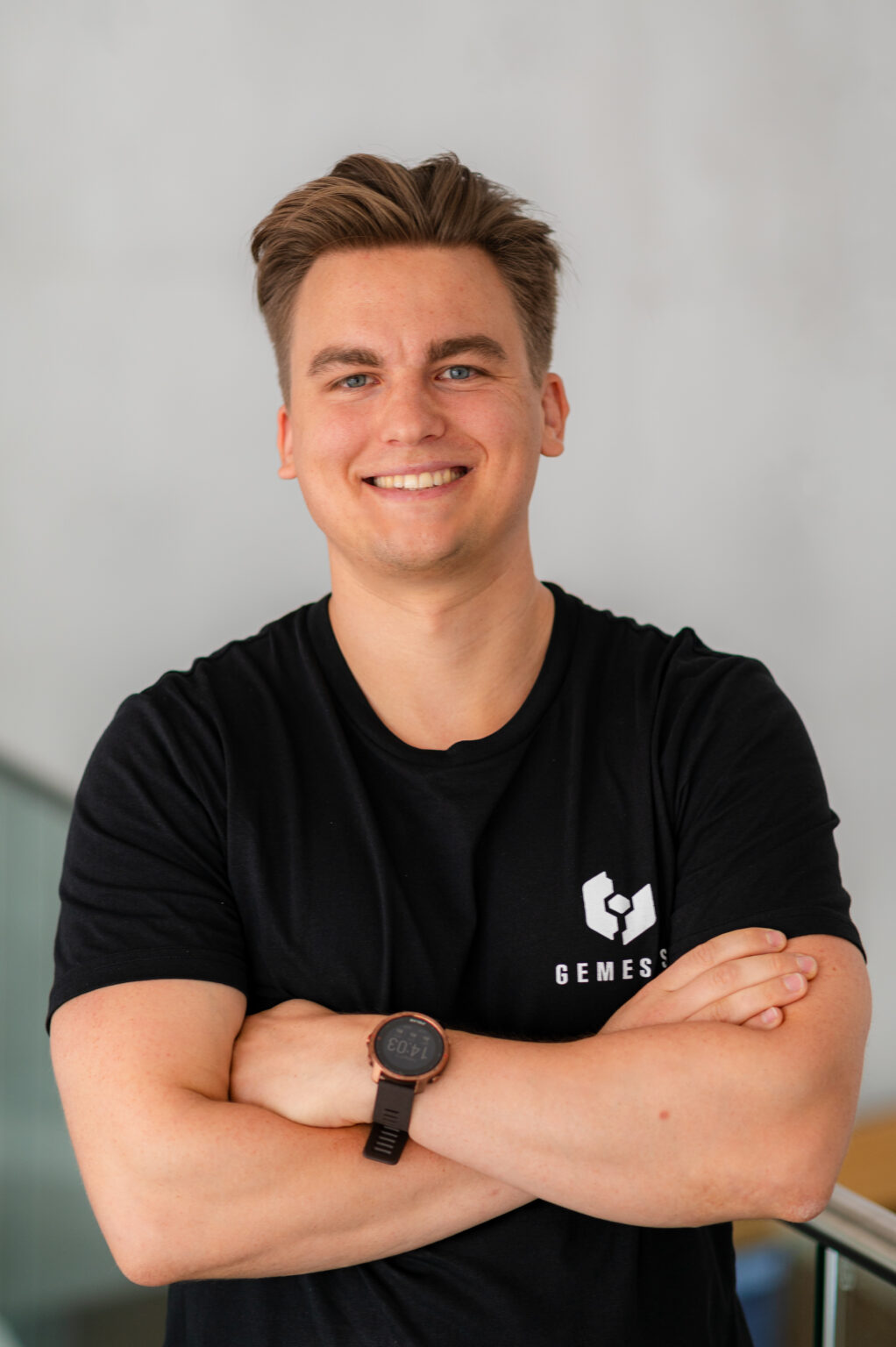 About Us – GEMESYS